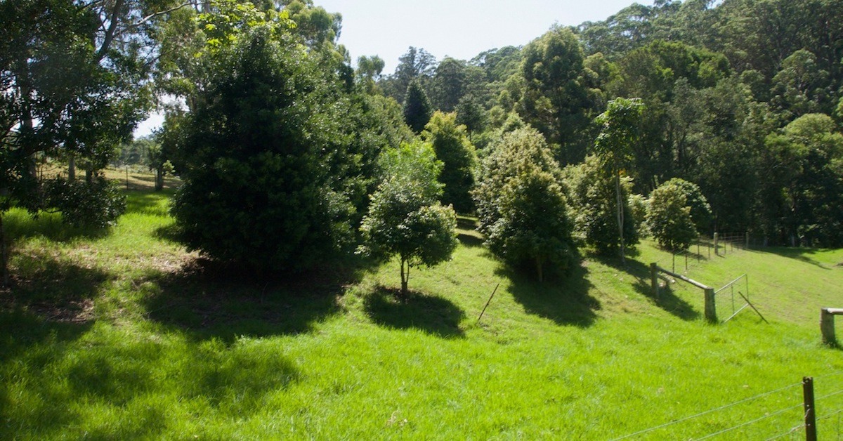 Learn more about Australian native produce: books, websites, resources